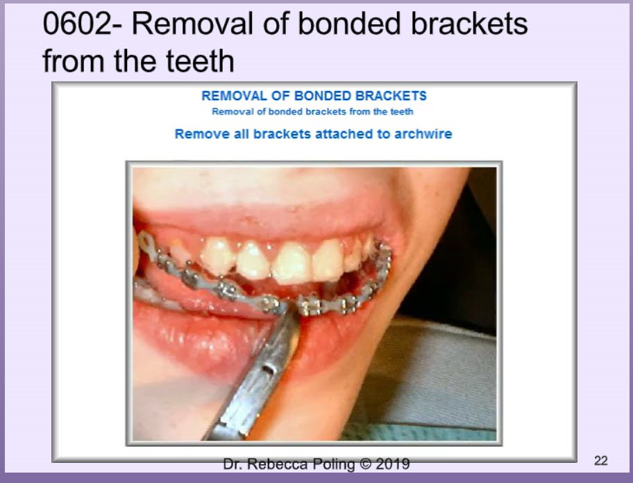 Home - OrthoTraining